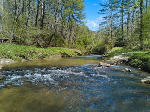 260 acres in Indian Valley, VA, 24105 | Land.com