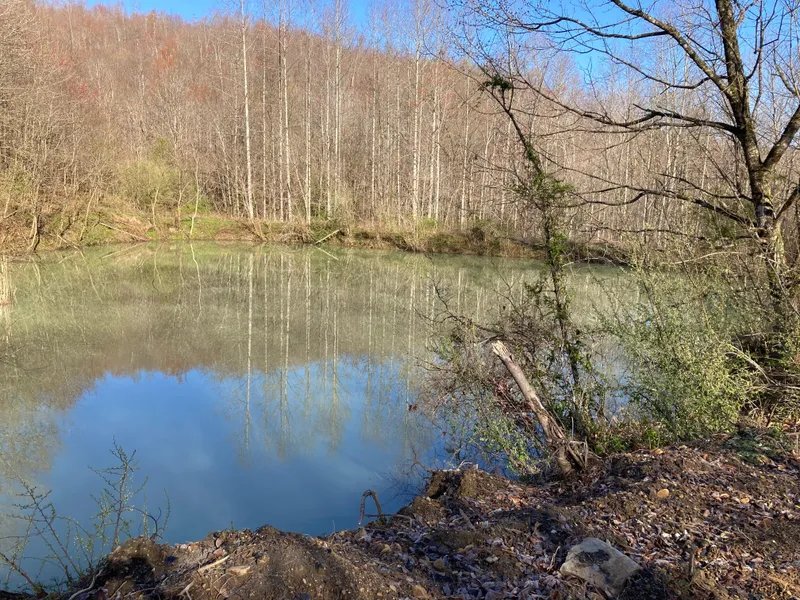 Hatfield Creek Rd, Newcomb, TN 37819 | Land.com