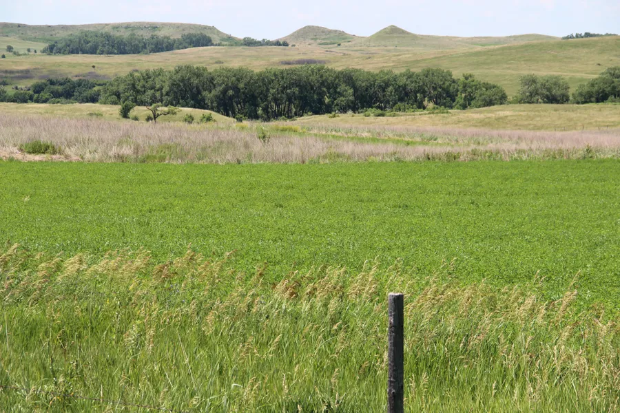 240 acres in Colome, SD, 57528 | MLS: 24-247 | Land.com