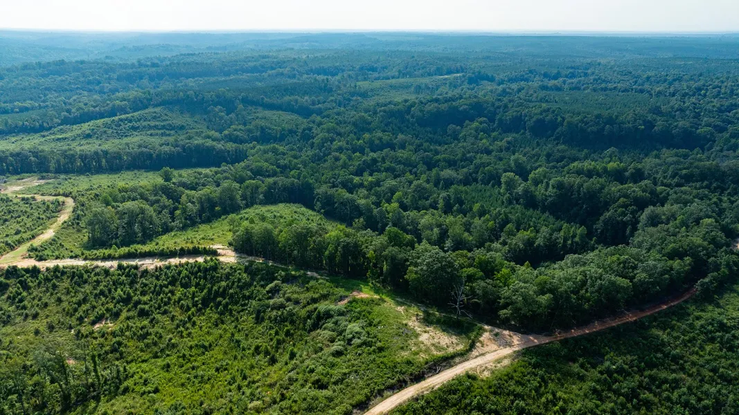 California Woods Road 2A, Lumpkin, GA 31821 | Land.com