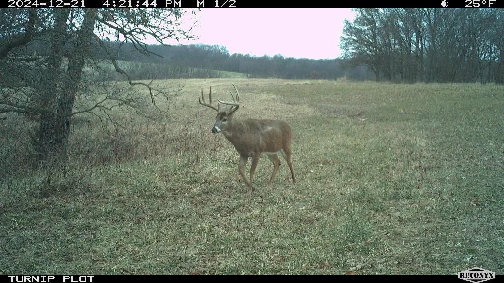 26009 Boothtown Road, Davis City, IA 50065 | Land.com