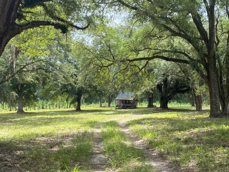 50 acres in Wing, AL, 36483 | Land.com