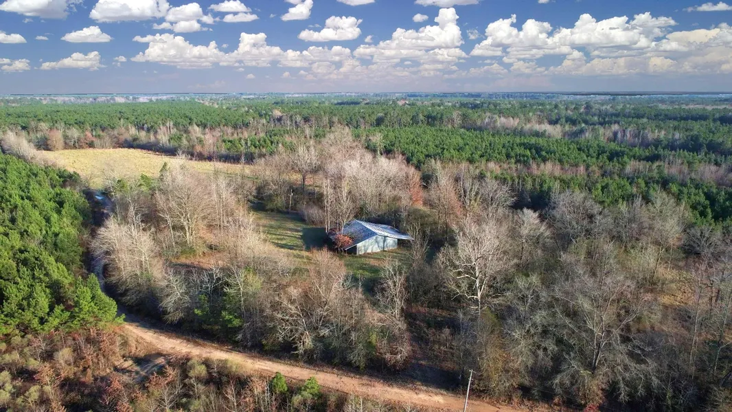 162 Ellison Road, Rison, AR 71665 | Land.com