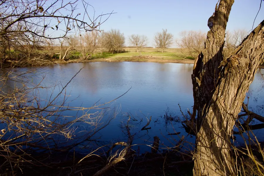 771 Pringle-Rothell Road, Olney, TX 76374 | Land.com