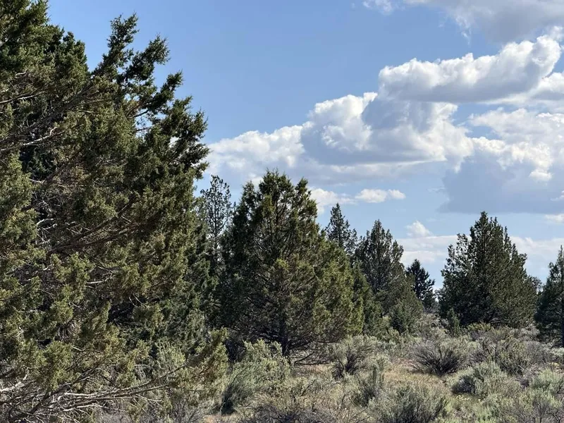 HWY 140, Beatty, OR 97621 | MLS: 220204838 | Land.com