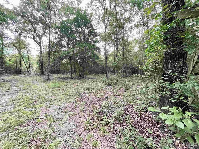 4599 Brushy Creek Rd, Range, AL 36473 | MLS: 668234 | Land.com