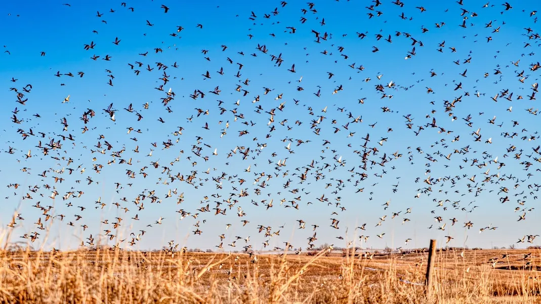 E 0220 Rd, Jet, OK 73749 | Land.com