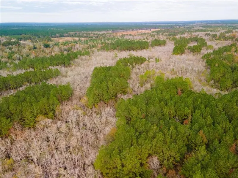 301 Broadhurst Road, Jesup, GA 31546 | MLS: 1655704 | Land.com