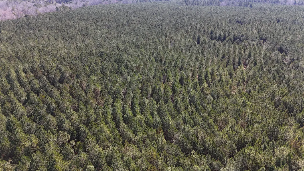 82.33 acres in Crawfordville, GA, 30631 | Land.com