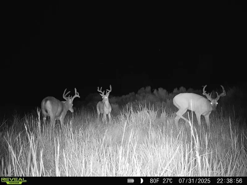 oo0, Protection, KS 67127 | Land.com