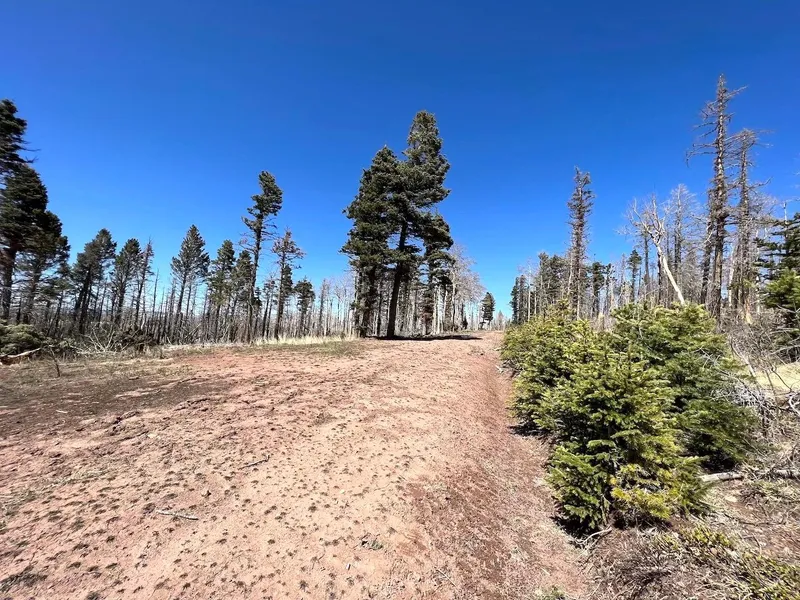 Colorado 159, Fort Garland, CO 81133 | Land.com