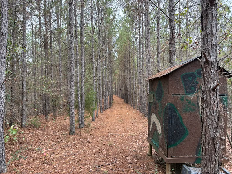 James Lane Loop, Lumpkin, GA 31815 | Land.com