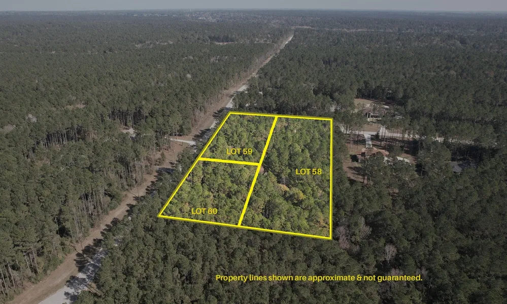 12-22-59 Grey Feather Road, Huntsville, TX 77340 | MLS: 33016181 | Land.com