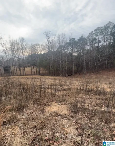 0 LAKESHORE LOOP, Oneonta, AL 35121 | MLS: 21439096 | Land.com