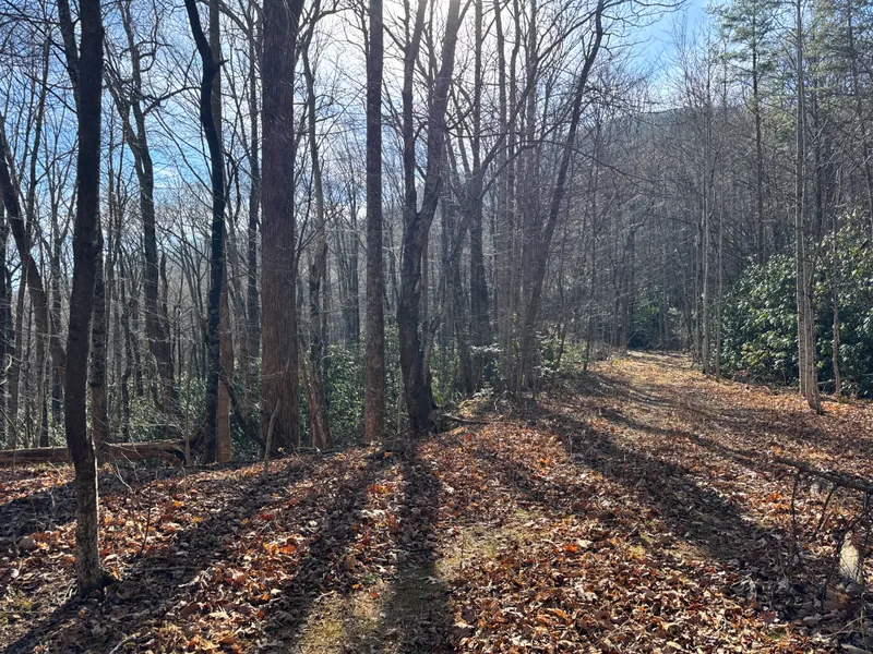 0 Judes Gap Road #2, Mill Spring, NC 28756 | MLS: 4331574 | Land.com