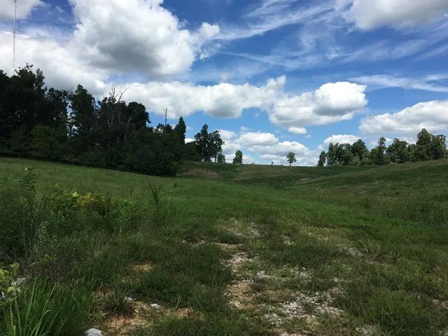 Pebble Creek Dr. Lot #5, Madisonville, KY 42431 | MLS: 107578 | Land.com