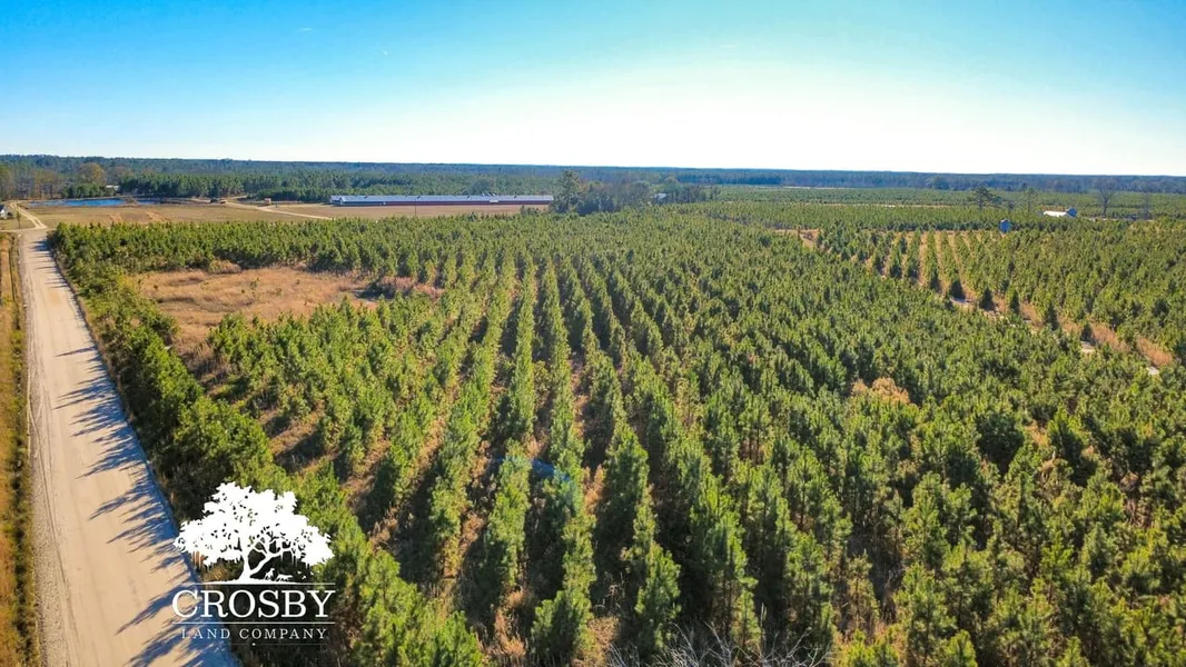 TBD Baxter Durrence RoaD, Glennville, GA 30427 | Land.com